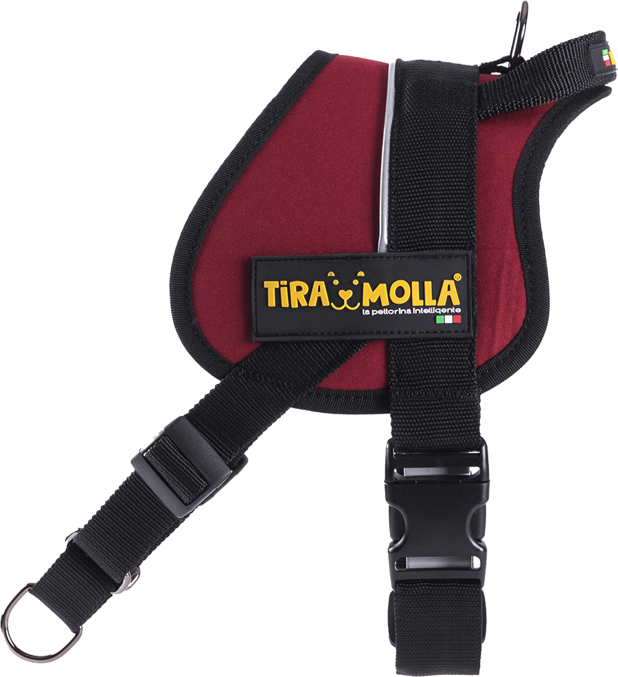 Pettorina Tira Molla - Bordeaux - Tira Molla
